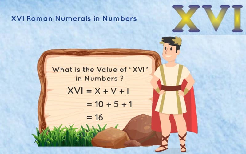 What Is The Number XVI Royal Pitch